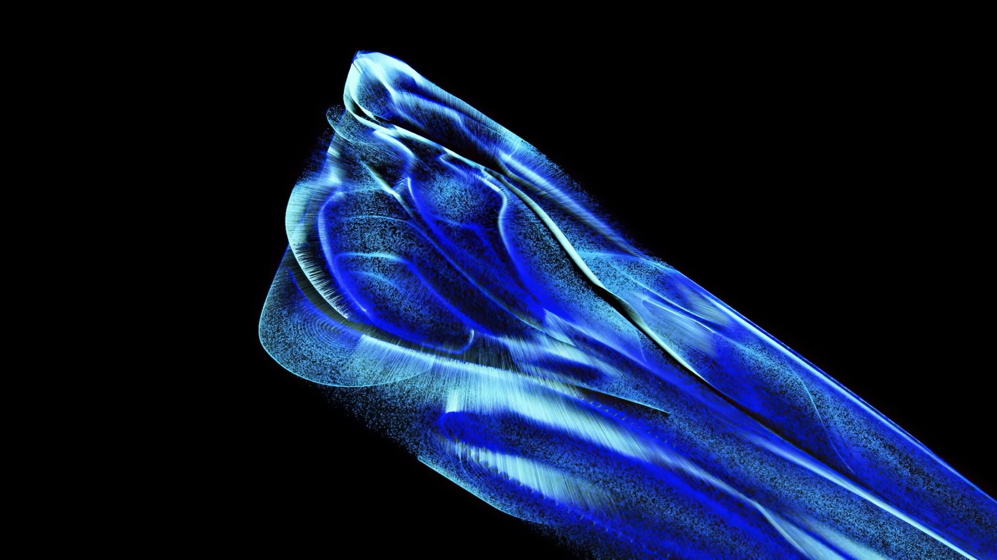 AI, Complexity, and Ecological Futures: A Conversation with Alisa ...