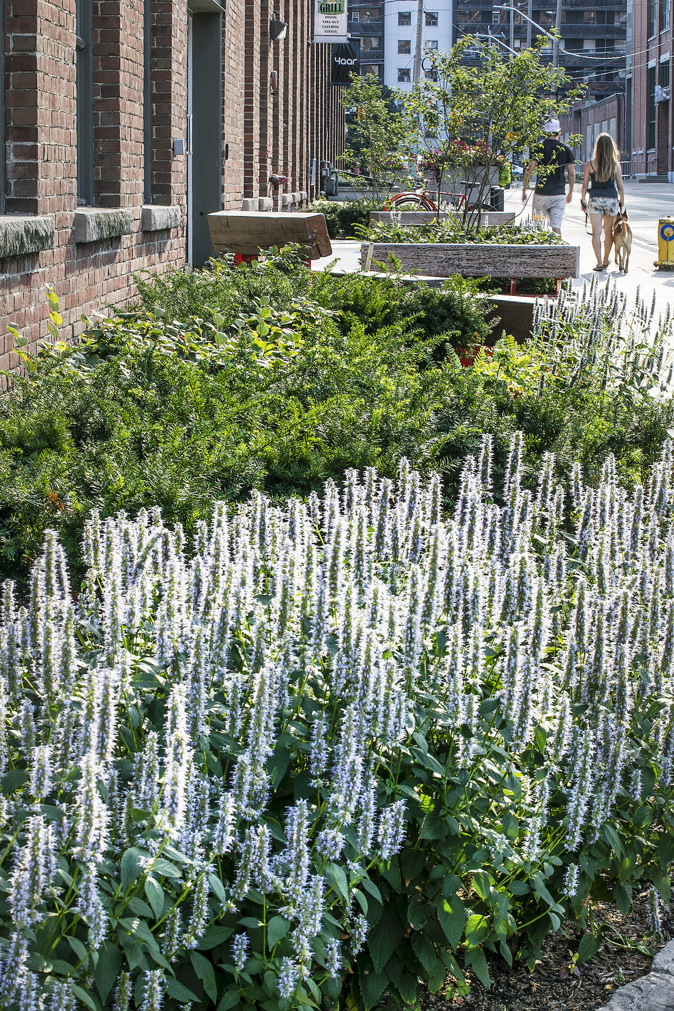 Liberty Village Parkettes | PLANT Architect Inc. | Archinect