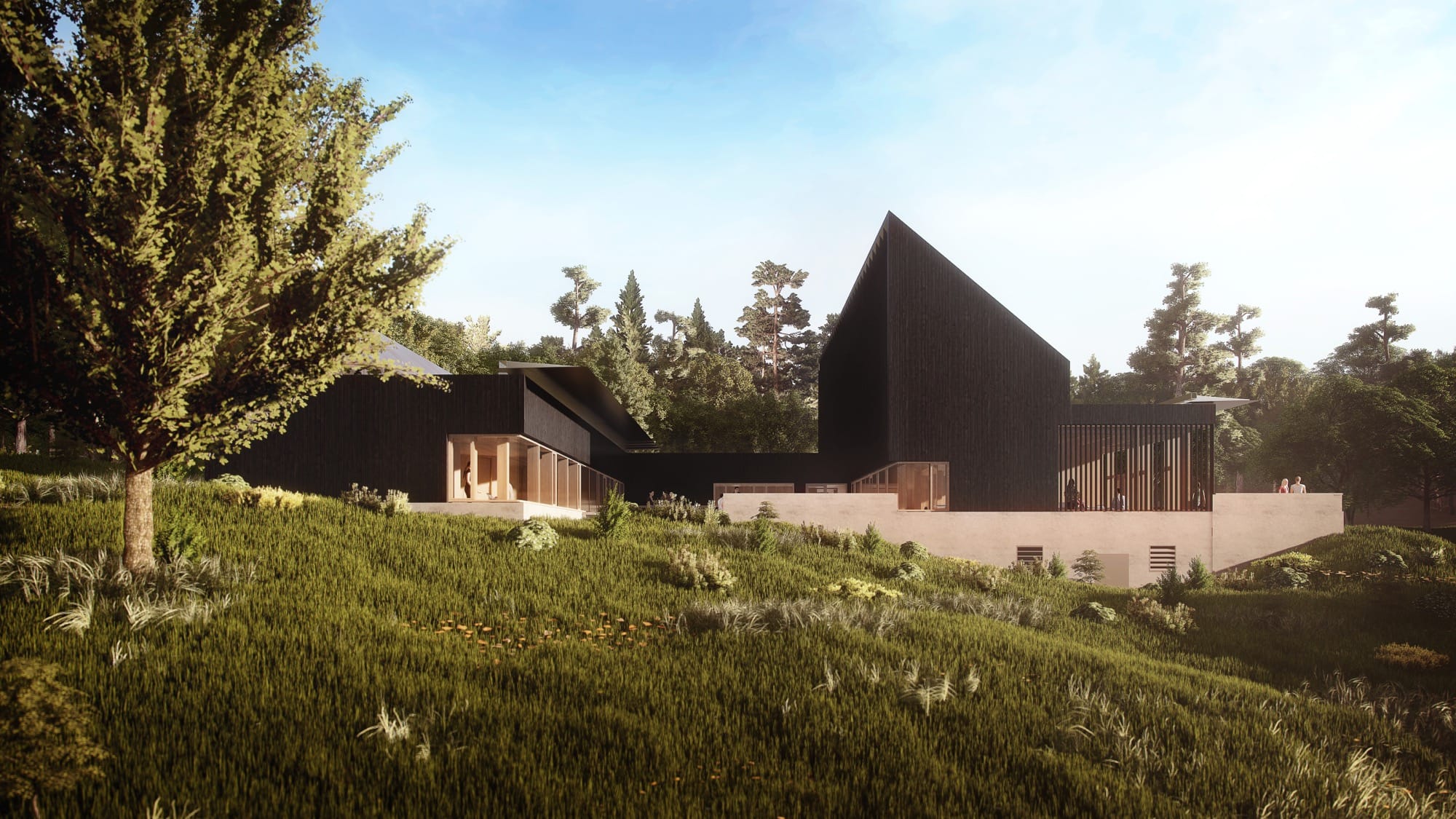 Montgomery Sisam design net-zero timber research center for University ...