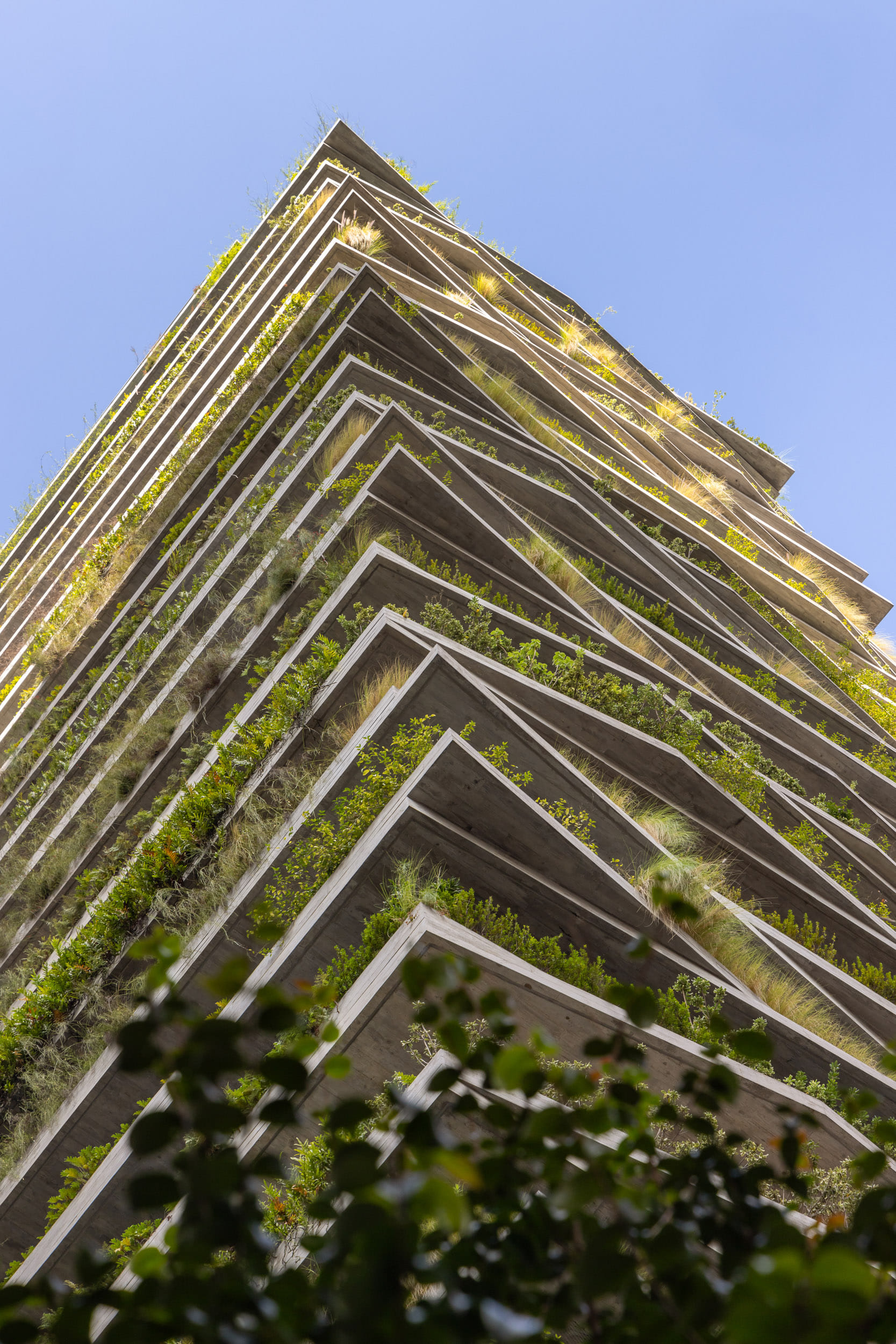 Leopoldo 1201 Building Landscaping | Rodrigo Oliveira Paisagismo ...