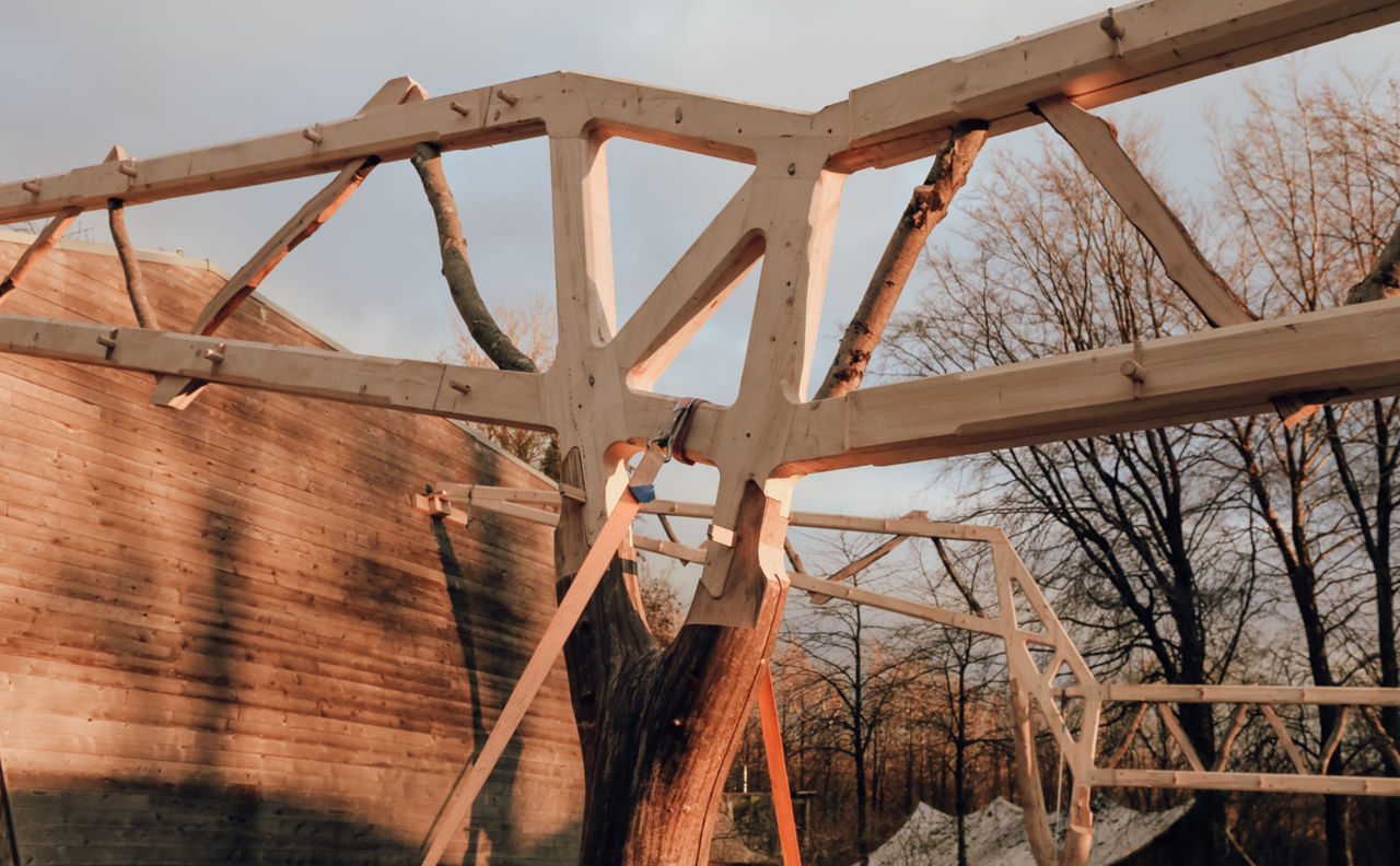 AA School of Architecture students construct timber 'Tree and Truss ...
