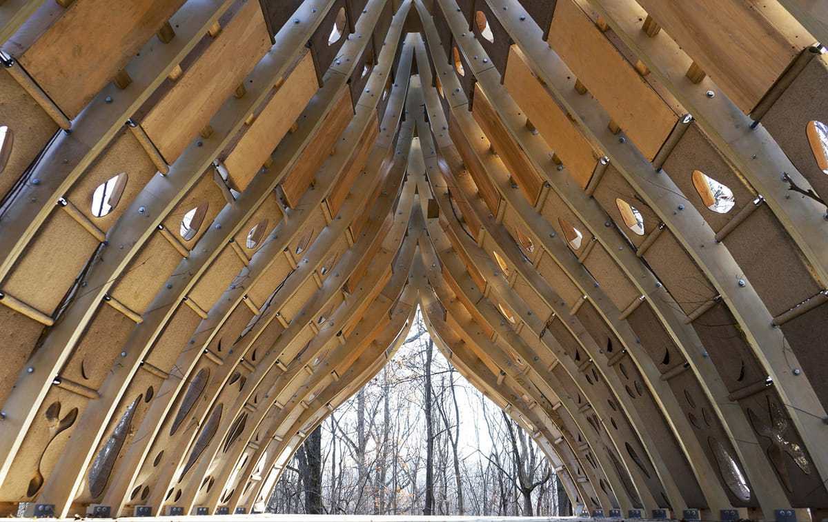 Fab Tree Hab: Multi-Species Living Structure | Terreform ONE | Archinect