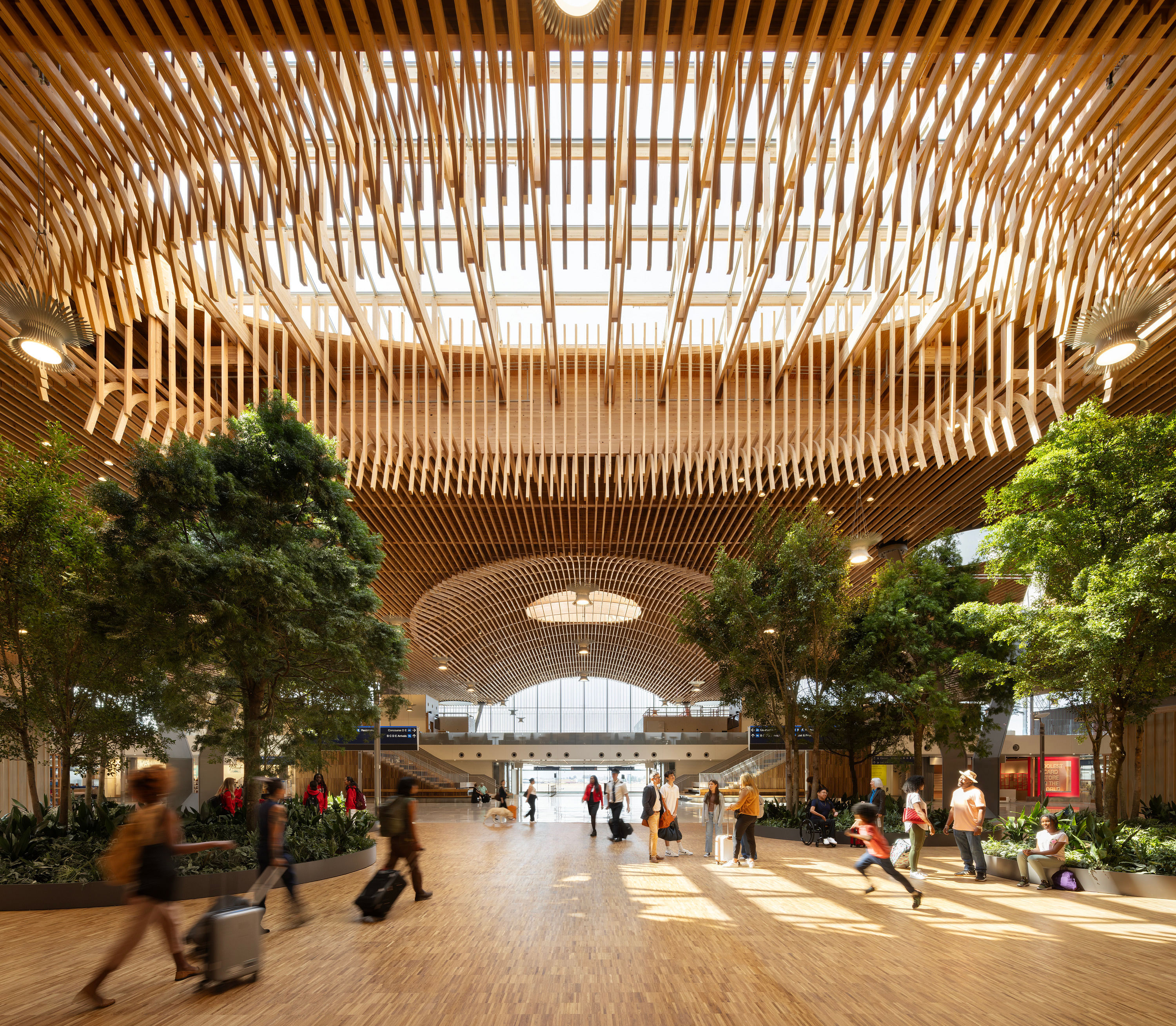 Your next role could be teaching mass timber at the University of ...
