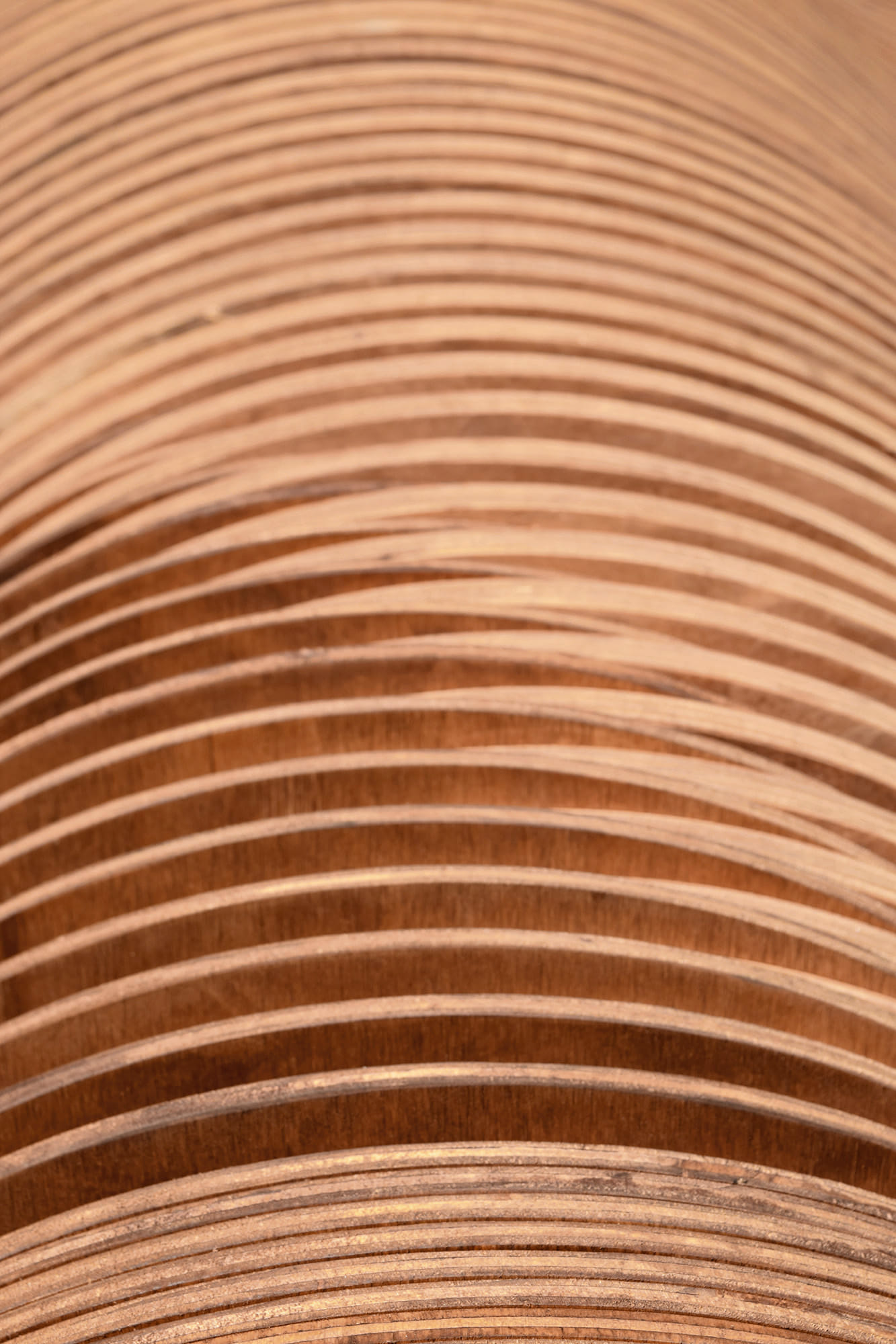 Design Biennial Boston installation displays the life cycle of wood