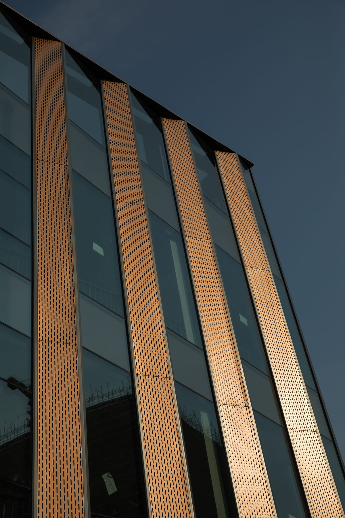 Dolphin Bay Office | Dplus Studio | Archinect