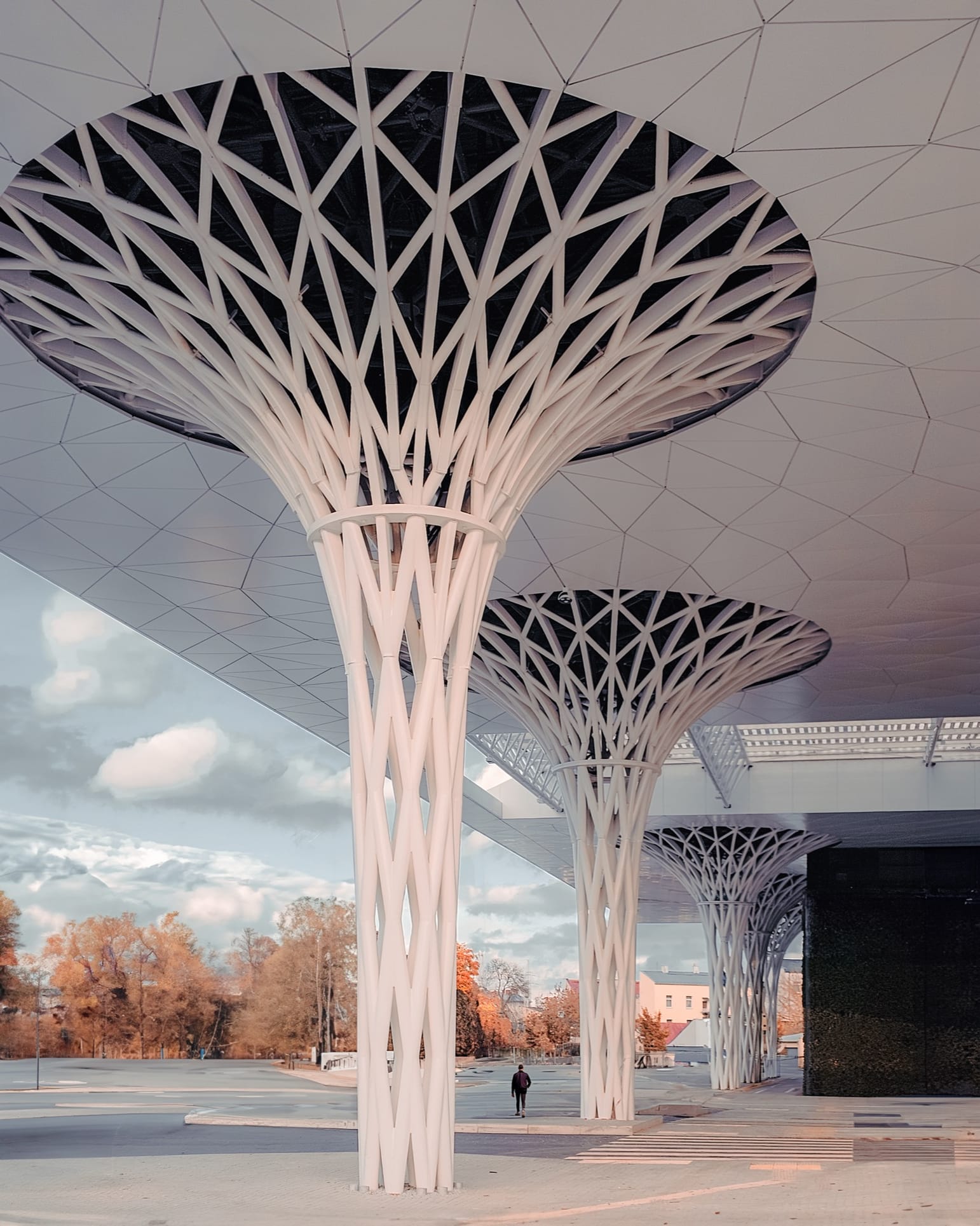 Polish transport center with tree-trunk inspired columns completed by ...