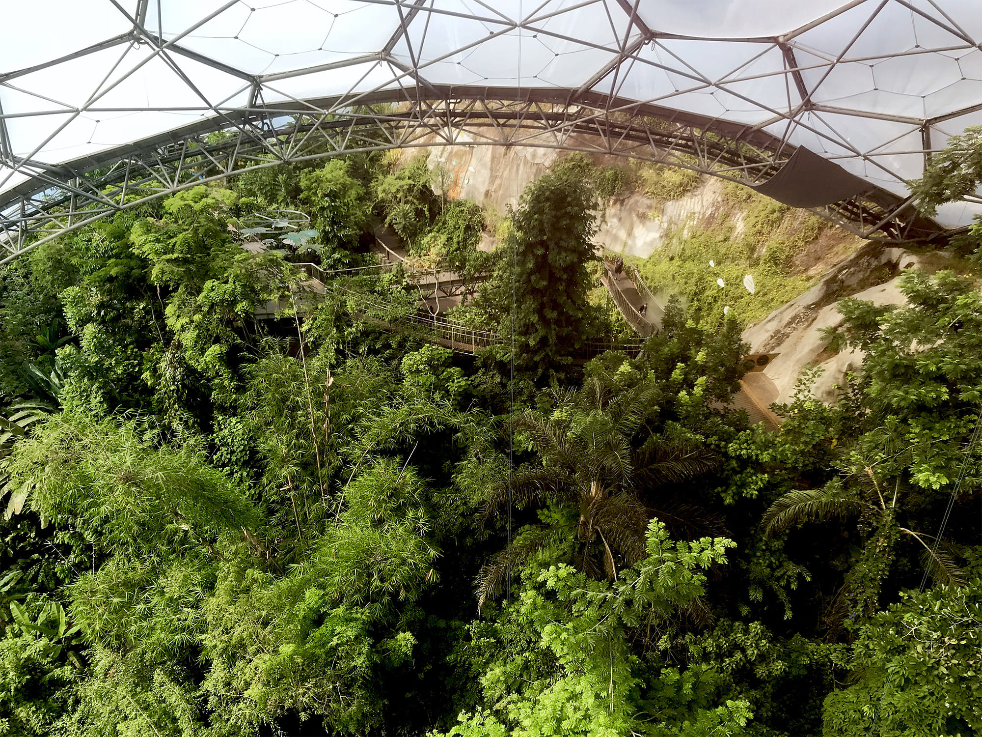 As the Eden Project turns 20, its creators take a look back | News ...