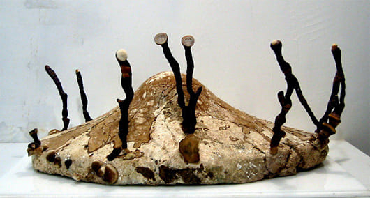 Mycotecture: architecture grown out of mushrooms