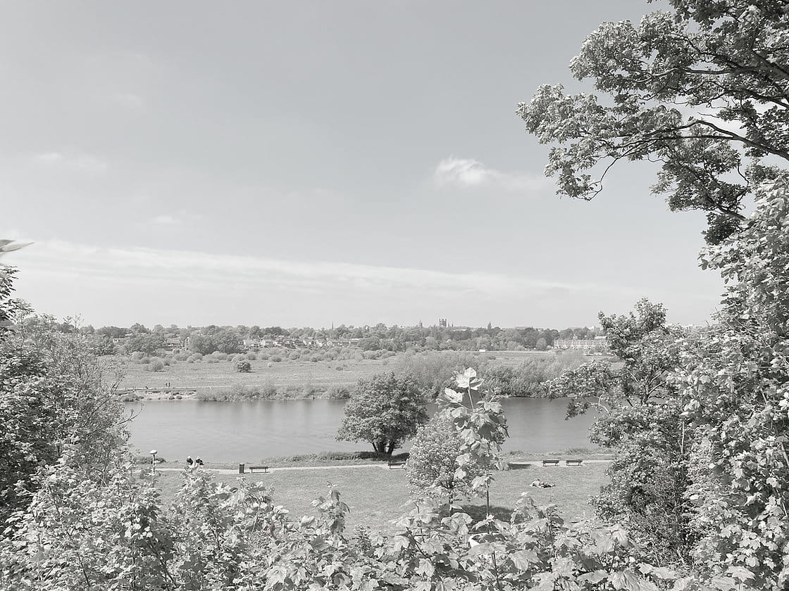 Birdwatching in the Chester Meadows