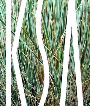 KSA Design Studio | Archinect