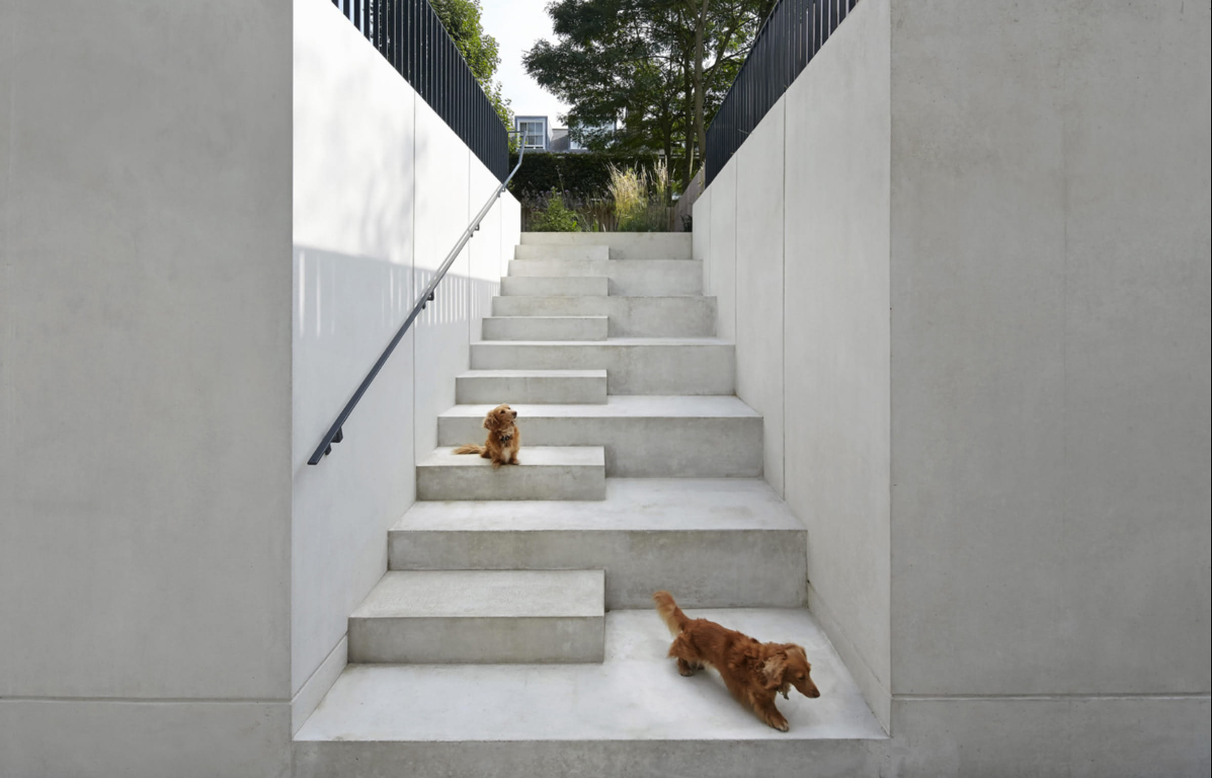 Steinberg Hart | Archinect