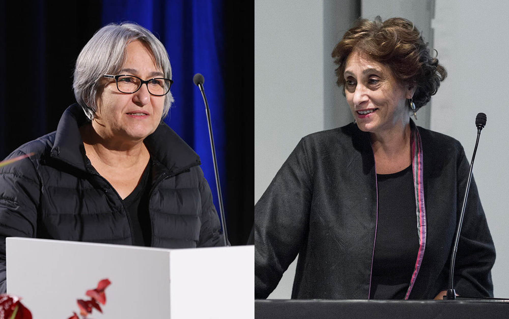 Architects Anne Lacaton and Suad Amiry named 2025 Jane Drew Prize for ...