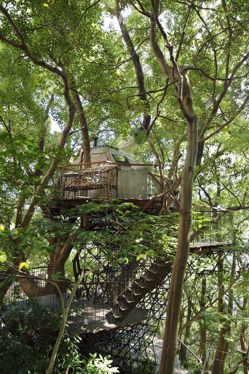 Japan's largest treehouse is also a high-tech engineering feat | News ...
