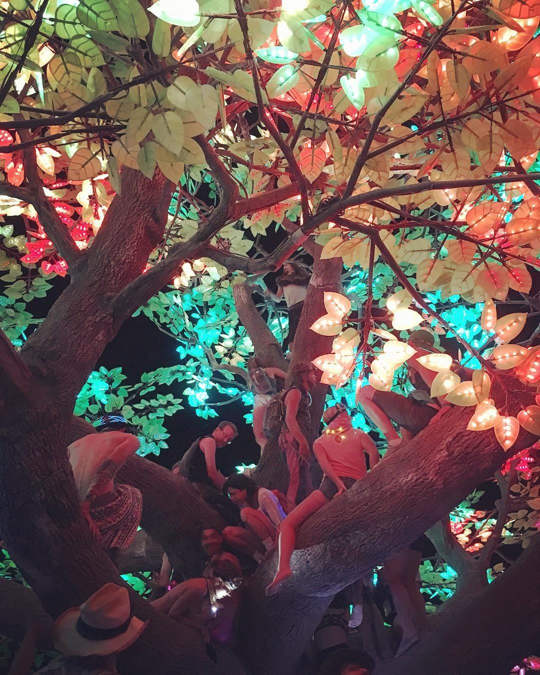 18 Amazing Examples of Festival and Event Architecture to Celebrate the ...