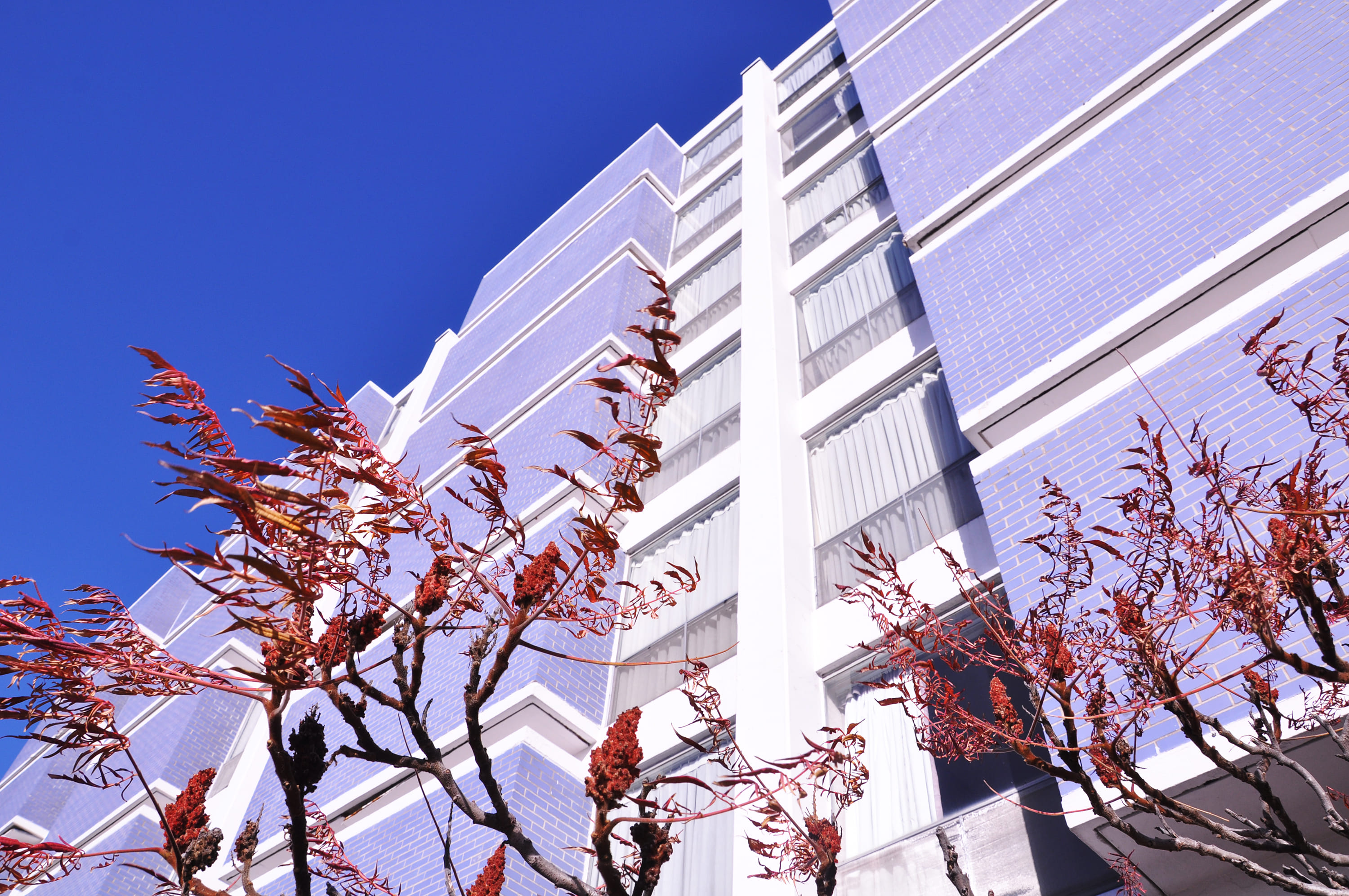 Chicago architect, John Macsai, passes away at 91 | News | Archinect