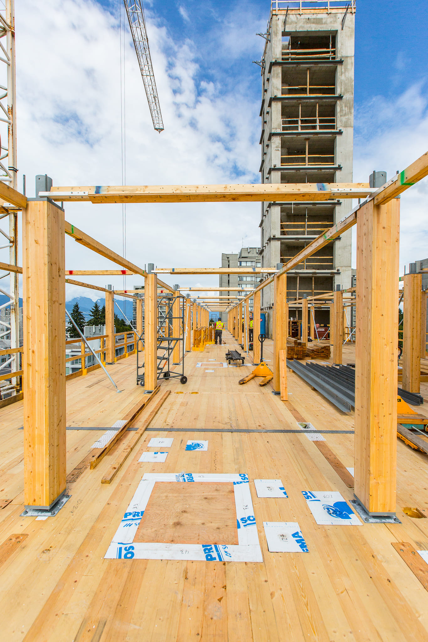 The world's tallest wood building opens to residents at University of ...