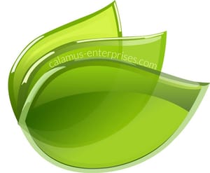 Ari Williams | Archinect