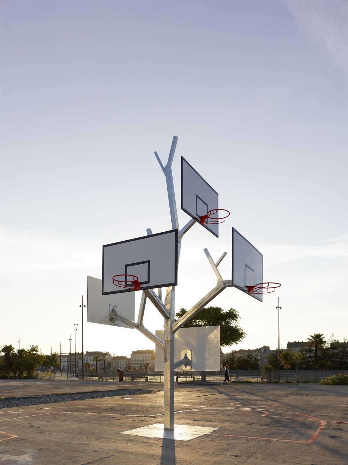 arbre à basket | ALTA architectes | Archinect