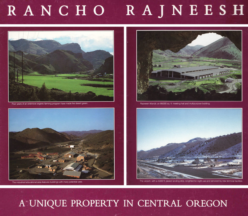 Drinking the Kool-Aid: The Architecture of Fringe Religions | Features ...