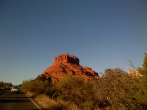 Lee Fitzgerald | Archinect