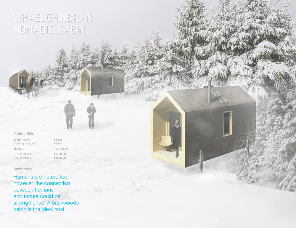 Cabin design results for CFI's International Sustainable Architecture ...