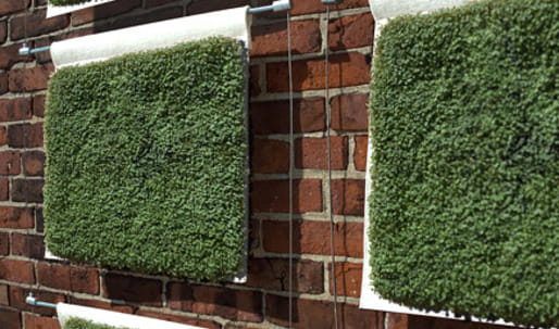 ShowCase: Parti Wall, Hanging Green by Young Architects Boston Group ...