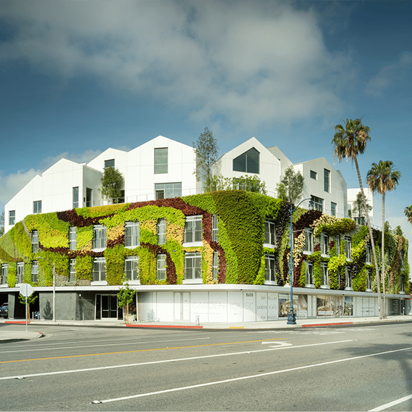 Flora Lee – A Journey of Reuniting Nature & Architecture // SMC NOMAS