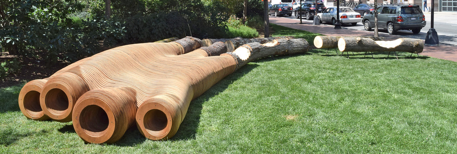 Design Biennial Boston installation displays the life cycle of wood