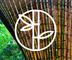 Camboo Bamboo Landmark Design Challenge