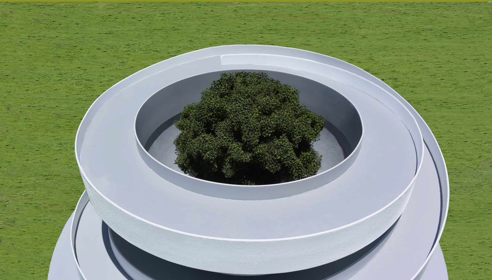 The Oak Tree Observatory | michael jantzen | Archinect