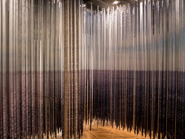 Lenticular Curtain | BREATHTAKING: Constructed Landscapes | PLANT ...