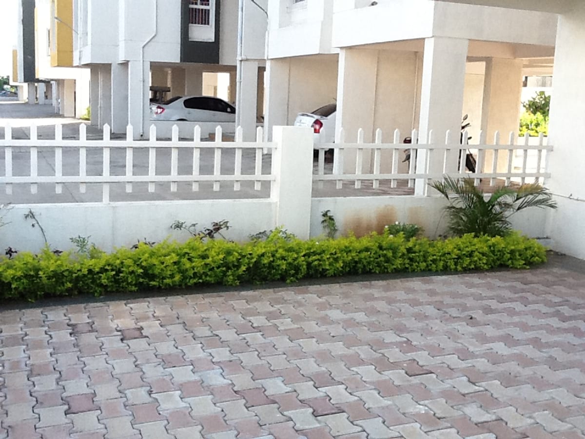 Single family houses | Divya Pathak | Archinect