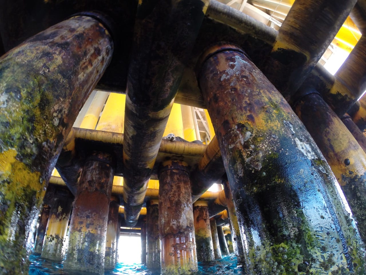 Episode 6 of Archinect Sessions, "Money Changes Everything", is out now ...