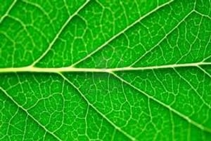 Craig Church | Archinect