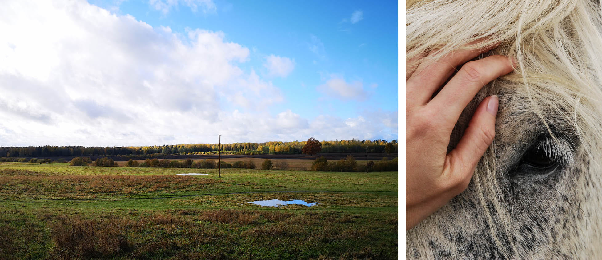 Kurgi Observation Tower